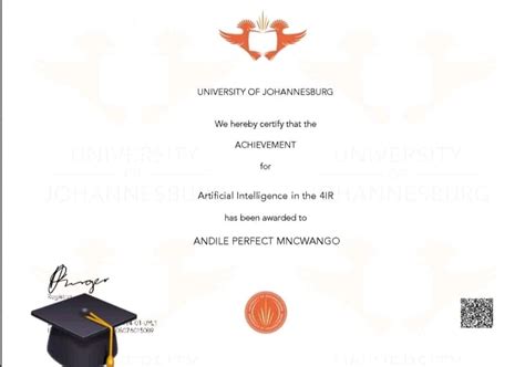 4ir Uj Education Andile Mncwango