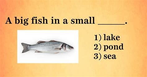 No One Can Pass This Basic Math Test From 1954