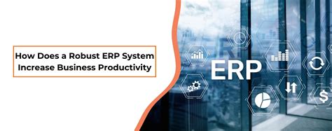 How Does A Robust Erp System Increase Business Productivity