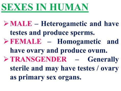 Sex Determination In Humans PDF
