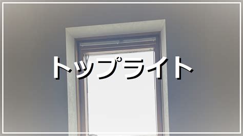 天窓今年の夏も遮光対策 SARUBOKKサルボック