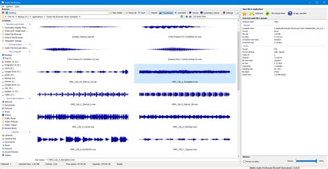 Audio File Browser