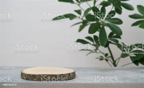 신선한 녹색 잎 흰색 공간 배경이 있는 시멘트 탁상에 빈 나무 연단 질감유기농 건강한 천연 제품 받침대 플랫폼 프로모션 쇼