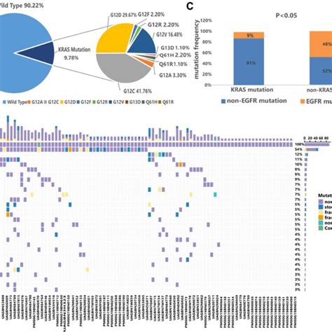 The Summary Of The Kras Mutation A P Pie Charts Of Nsclc Patients Download Scientific
