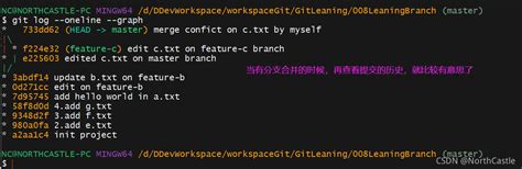 Git基础 Git的本地分支操作详解 查看、创建、删除、合并分支、合并冲突、切换拒绝merging 分支 Csdn博客