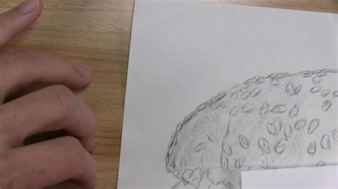 How to Draw a Hamburger with a Slice of Cheese Cách vẽ Hamburger siêu thực bằng bút chì Vẽ