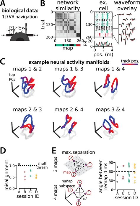 Remapping In A Recurrent Neural Network Model Of Navigation And Context Inference Elife