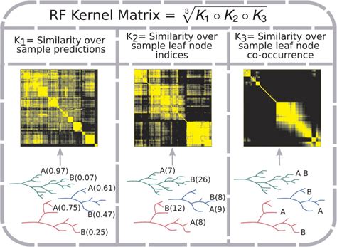 Accurate Cancer Phenotype Prediction With Aklimate A Stacked Kernel