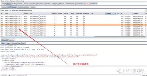 api接口渗透测试 api接口 泄漏服务器版本信息吗 csdn博客