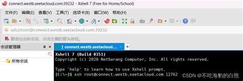 Autodl使用教程 使用xshell和xftp进行链接和传输以及autodl环境配置（超详细） Csdn博客