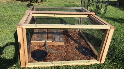 Argentine Tegu Enclosure