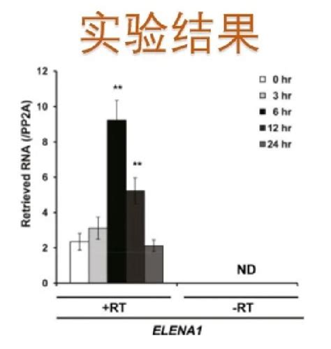 Rna免疫沉淀（rip）实验数据分析