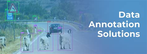 Unlocking Ais Full Potential With Primary Data Annotation Solutions