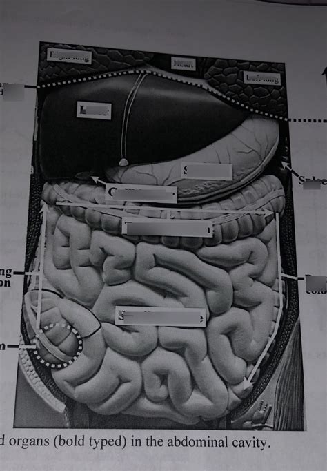 AP Lab 2 Diagram Quizlet