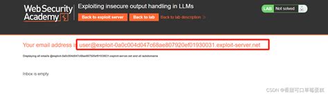 Web Llm 攻击实验：利用 Llm 中不安全的输出处理llm不安全的输出处理 Csdn博客