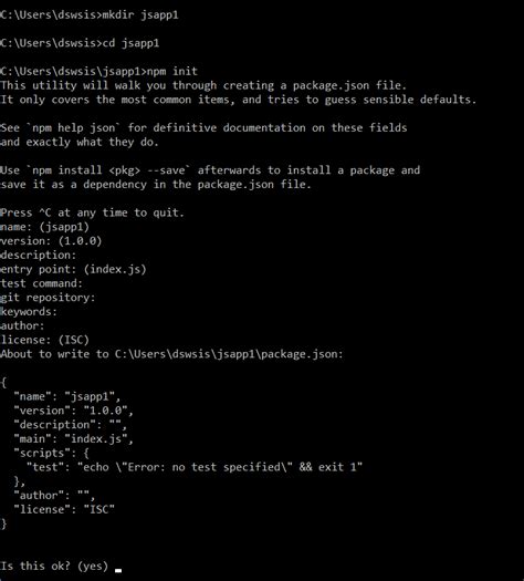trying npm the node js package manager dswsis data bit