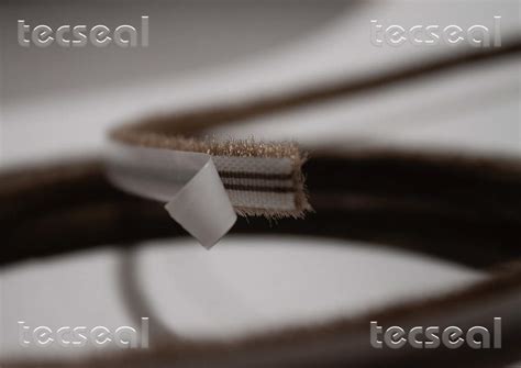 Шлегель шампань Tecseal для шкафа купе 12 метров с доставкой