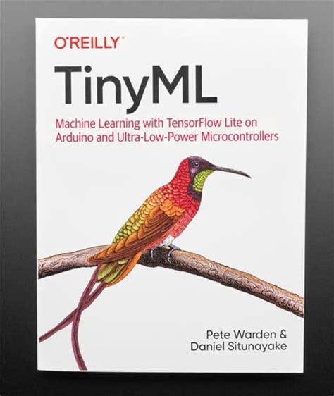 Exploring The Future Of Embedded Machine Learning