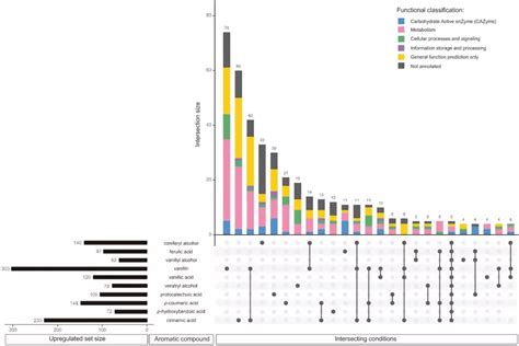 文献中的upset图示例