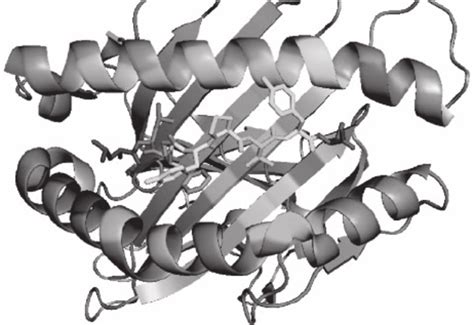 Hla Molecule With Bound Peptide Hla A0201 Complexed With A Nonameric Download Scientific
