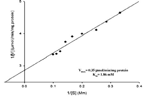 Double Reciprocal Plot To Show The Kinetic Parameters Of The Po From