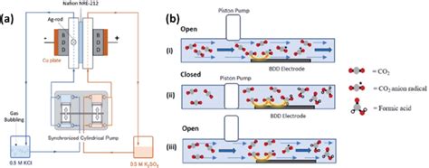 A Pictorial Representation Of The Intermittent Flow Cell And B Download Scientific Diagram