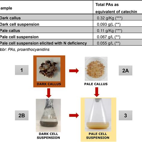 Panel A Quantitative Uplc Dad Analysis Results On Total Download Scientific Diagram