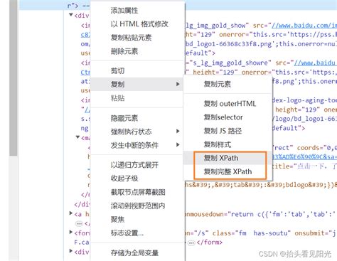 Selenium Xpath选择器 xpath 选择器 CSDN博客