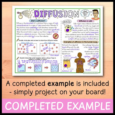 Diffusion Doodle Notes Emmatheteachie