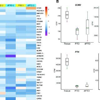Bulk RNA Sequencing Reveals Limited Differences Between Primary Download Scientific Diagram