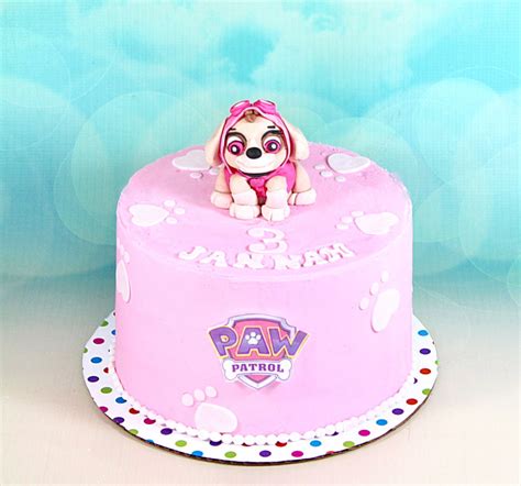 Paw Patrol Skye Cake Cakecentral Com