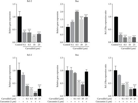 Rt Qpcr Analysis For Bcl 2 Mrna Expression Bax Mrna Expression And