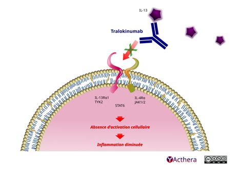 Tralokinumab Adtralza®