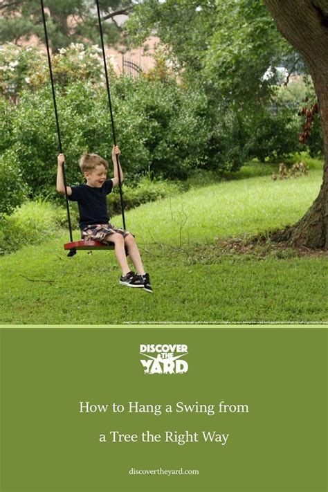 How To Hang A Swing From A Tree Ultimate Guide