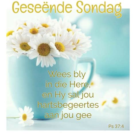 Geseende Sondag U Anna Steffens