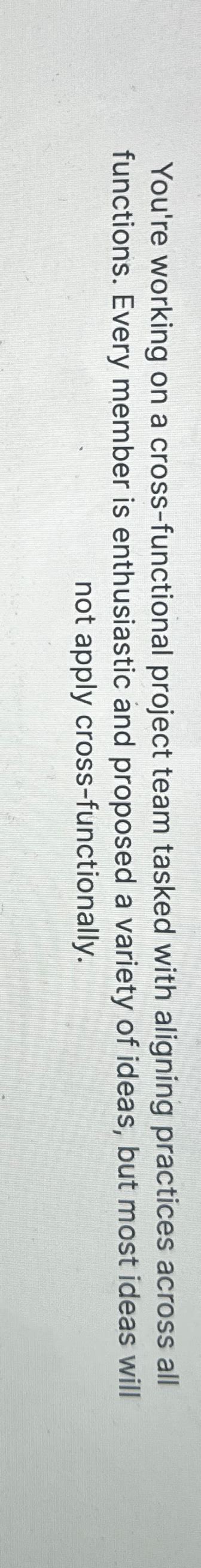 Solved Youre Working On A Cross Functional Project Team