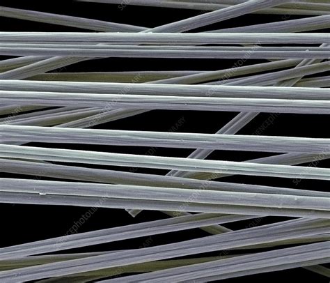 Carbon Fibres Sem Stock Image C0116057 Science Photo Library