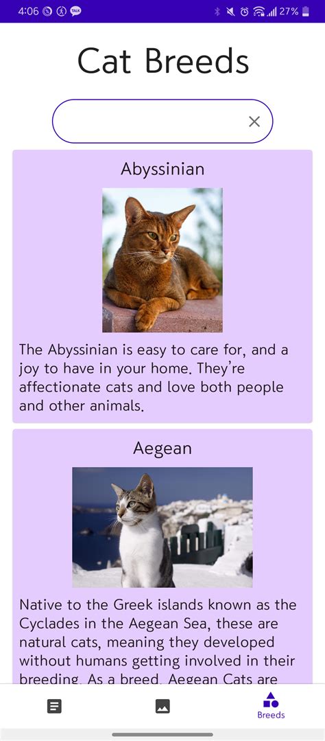 Github Comye Catcat Cat Api