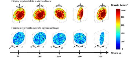 3d Membrane Stress Distribution—magnitude Contours For The Rigid And Download Scientific