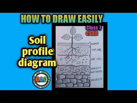 Soil Profile Diagrams Labelling