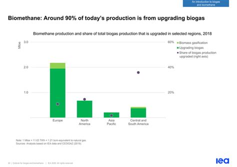 Outlook For Biogas And Biomethane Pdf
