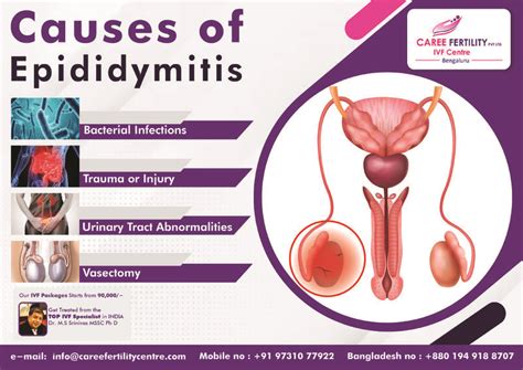 Ivf Infertility Ivf Fertility Ttc Infertilityawareness Pcos