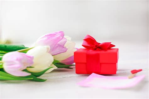 흰색과 보라색 튤립 그리고 흰색 나무 바탕에 빨간색 상자에 선물 봄입니다 국제 여성의 날입니다 발렌타인의 하루입니다 카드 선택적 초점입니다 4월에 대한 스톡 사진 및 기타