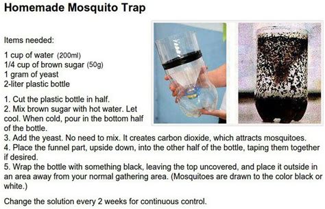 Diy Mosquito Traps That Work Best Idea Diy
