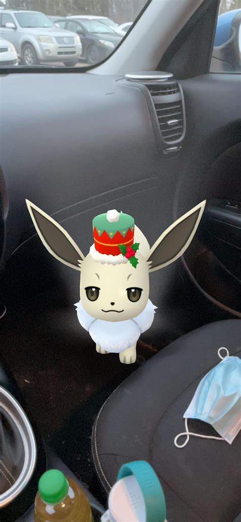 Eevee Get Yo Butt Back Over Here R Pokemongo