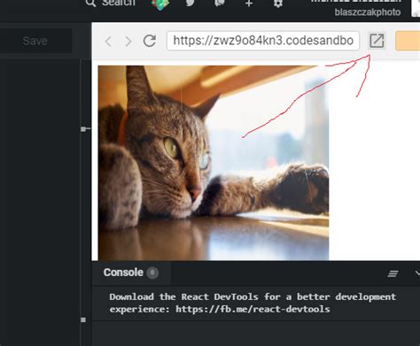 Javascript React Fetch Img From Slow Api Stack Overflow