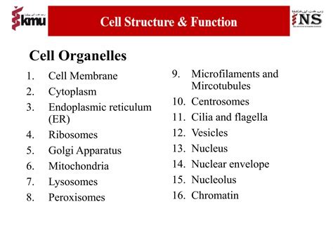 Lecture 3 Cellstructurefunctionppt