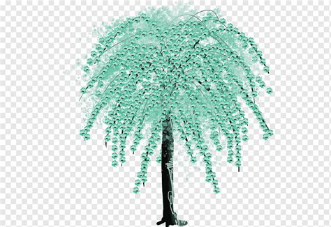 Twig Tree Tree Branch Twig Wood Png PNGWing