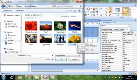 Cara Beri Logo Di Form Ms Access Fasrdeluxe