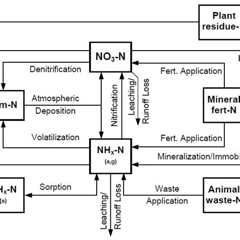 1 The Nitrogen Cycle Considered In Drainmod Nii From Youssef Et Al Download Scientific
